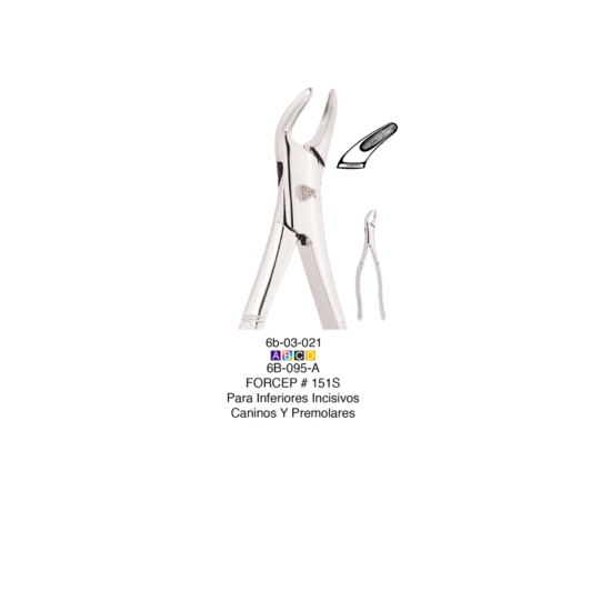 Fórceps Adulto 151 | Deposito Dental Odontology BG