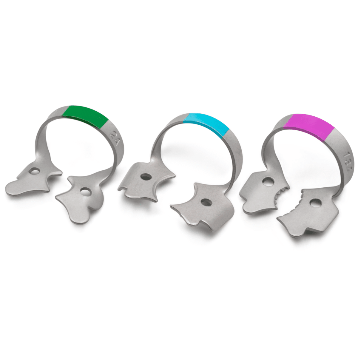 Grapas sin Aleta – Deposito Dental Odontology BG